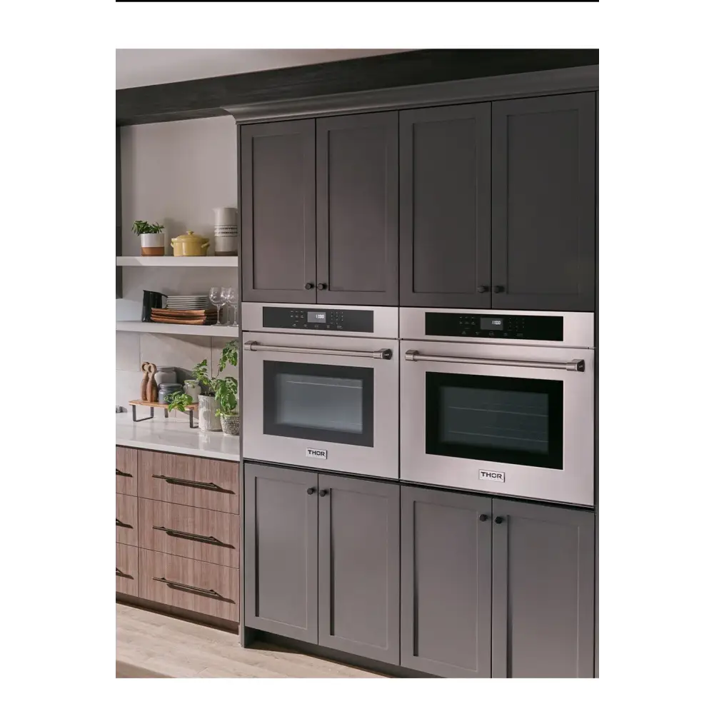 Buy Thor Kitchen 30 Inch Professional Self-Cleaning Electric Wall — The ...